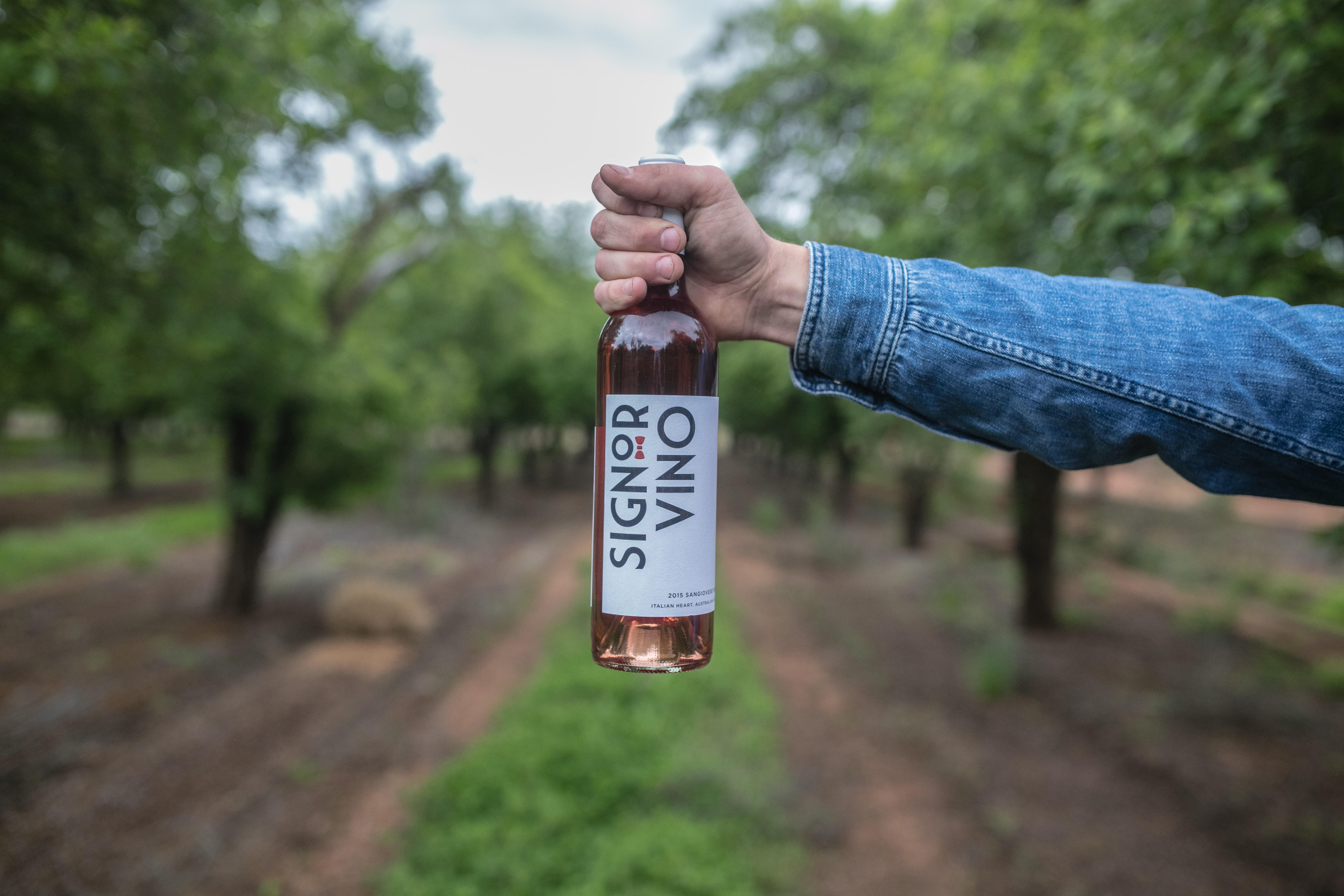 + The Italian Rosé Revolution – Mino & Co Wines